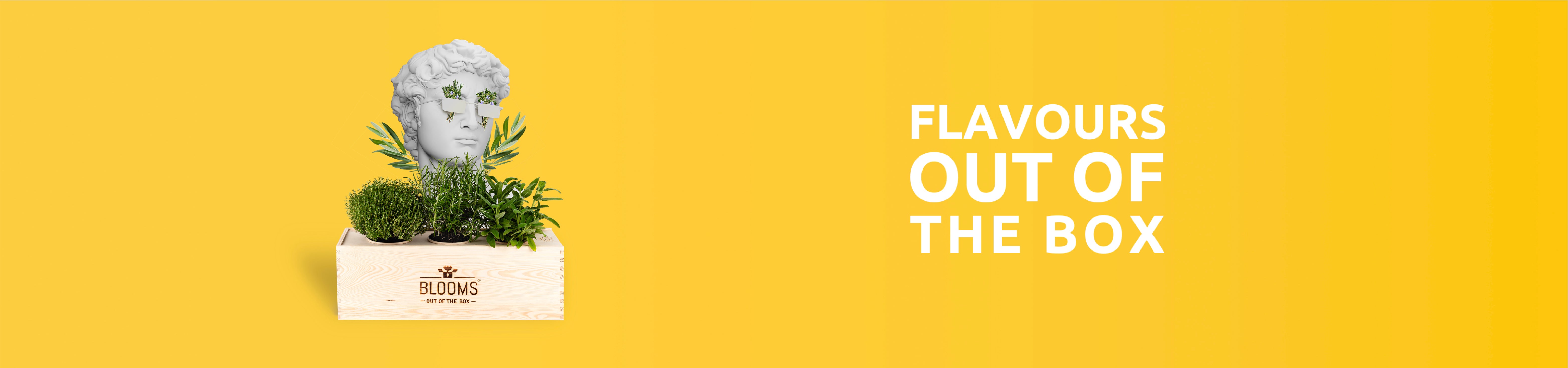 Flavours out of the Box: the rich flavors of Blooms out of the Box